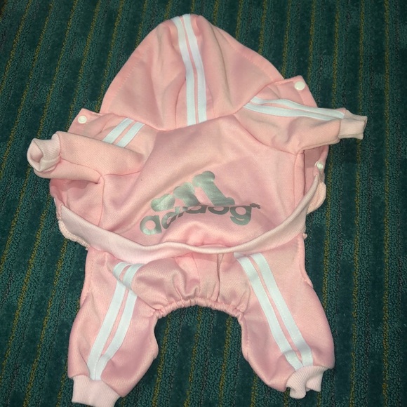 adidas | Other | Adidog Outfit | Poshmark